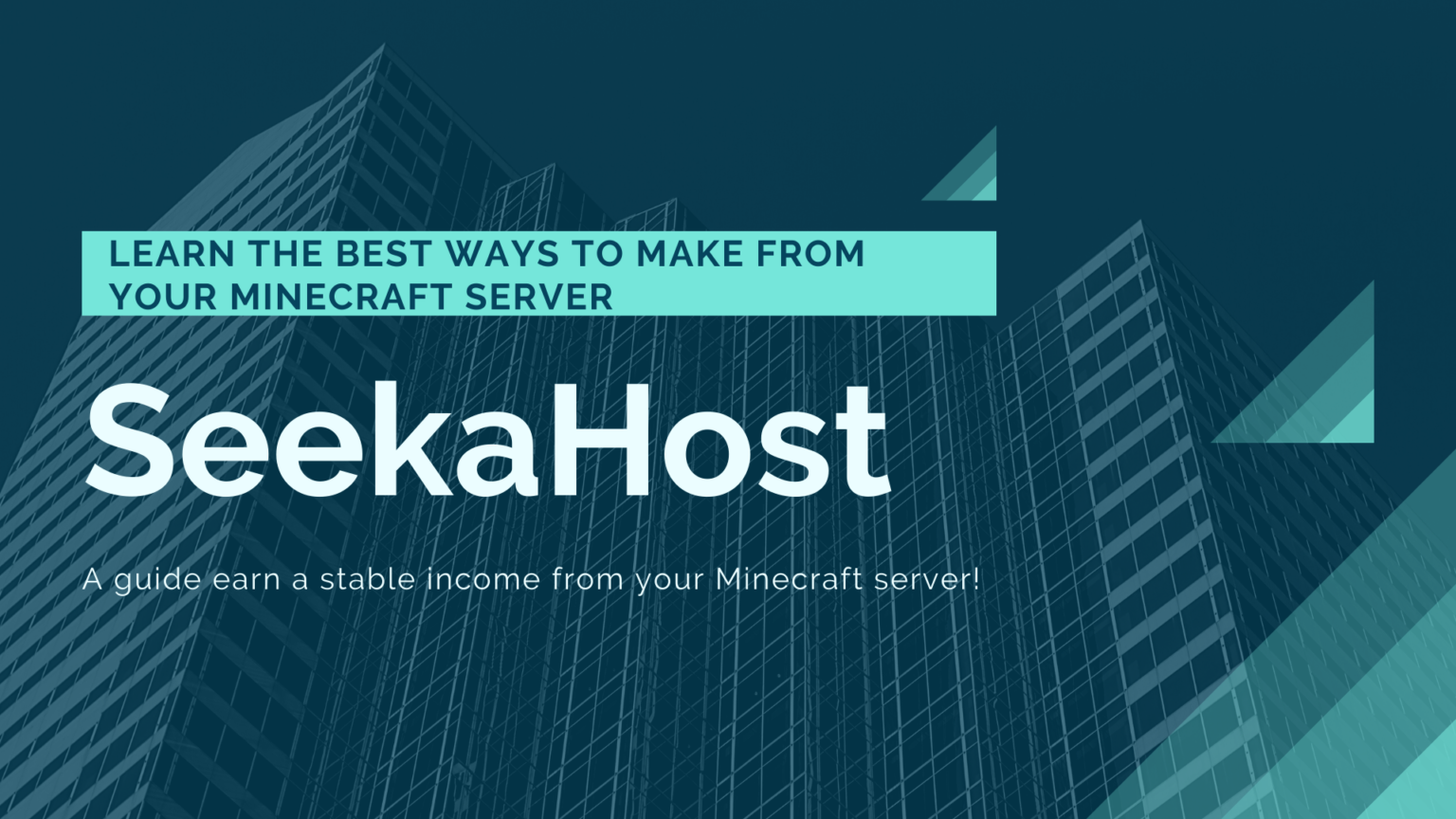 7 Best Ways To Earn Money From Minecraft Server (With Complete Guide ...