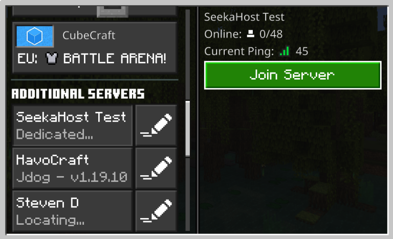 Enable Cheats On A Bedrock Server | SeekaHost