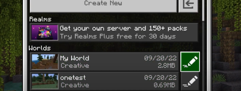 How To Upload a Single Player Minecraft World to a Server | Bedrock ...